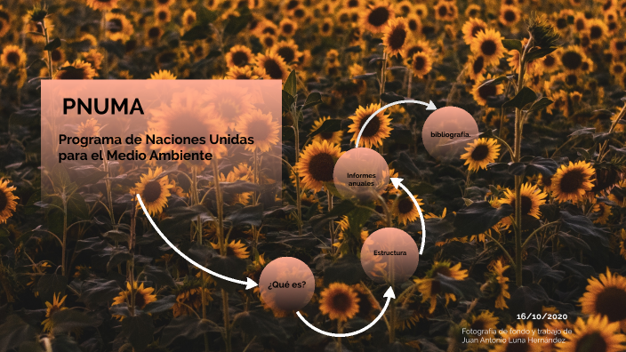 PNUMA by Juan Antonio Luna Hernández on Prezi