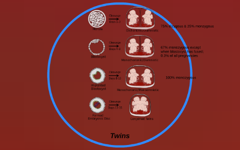Multifetal Pregnancy Reduction by Nicole Lee on Prezi