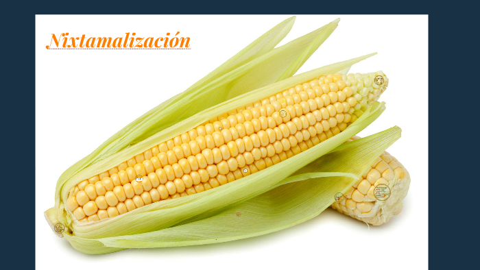Nixtamalización by Luis Alfaro on Prezi