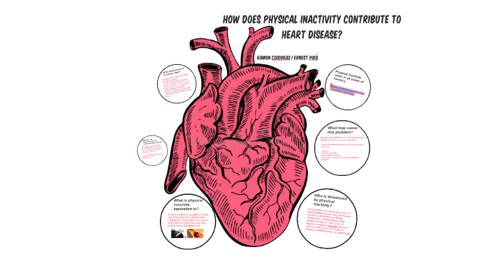 How does physical inactivity contribute to heart disease? by Ernest P ...