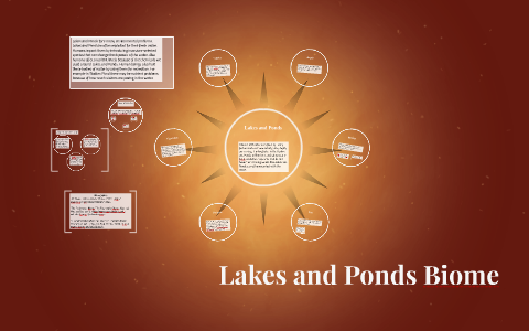Lakes and Ponds Biome by on Prezi