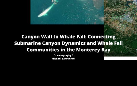Connecting the Land to the Deep Sea: Monterey Submarine Canyon by ...