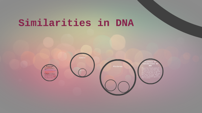 Similarities in DNA by Ellie Ackerson on Prezi