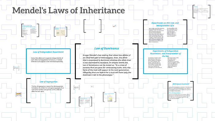 Mendel's Laws of Inheritance by Sierra Watters on Prezi