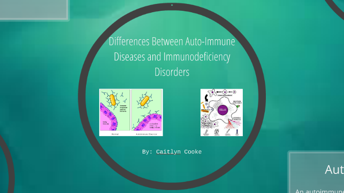 Differences Between Auto-Immune Disease and Immunodeficiency by Caitlyn ...