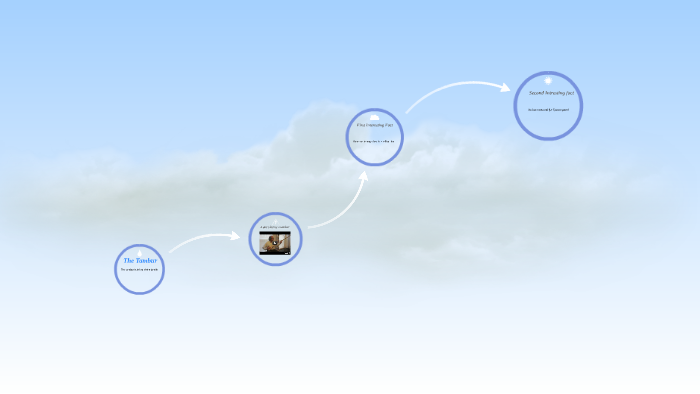 The Tambur by kaitlyn morrison