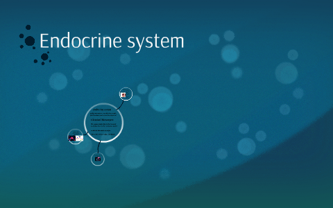 Endocrine system by Noah Strohm