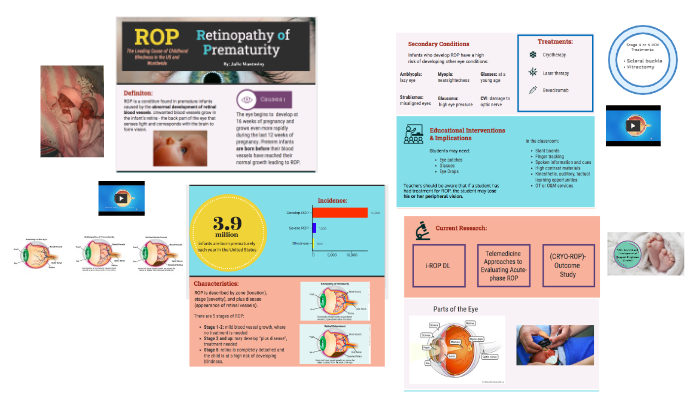 ROP fact sheet presentation by Julianna Montminy on Prezi