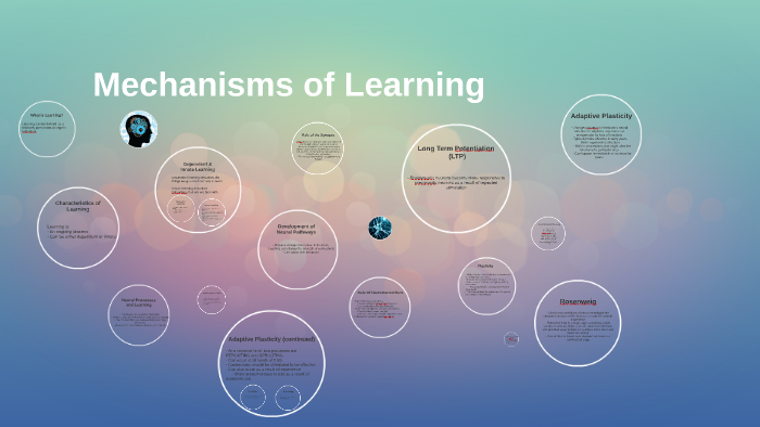 Mechanisms of Learning by Tameka Jones