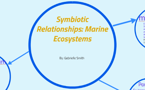 Symbiotic Relationships: Marine Ecosystems by gabrielle smith on Prezi