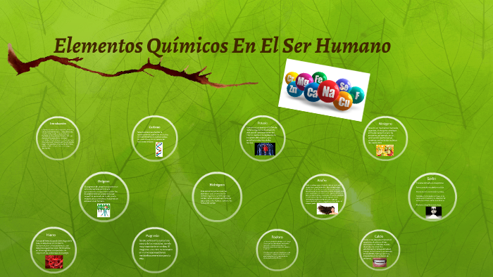 Elementos Químicos En El Ser Humano by Anastassia Bustos