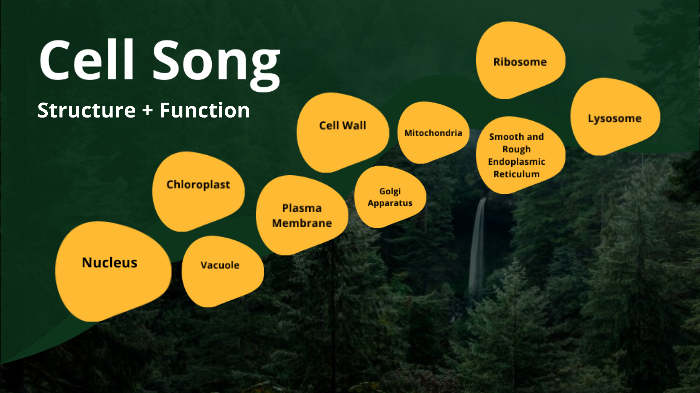 Cell Songs by C D on Prezi