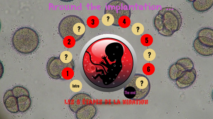 Les 6 étapes de la nidation by Maëva GUIDO on Prezi