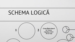 Schema logica by Andra Paul on Prezi Design