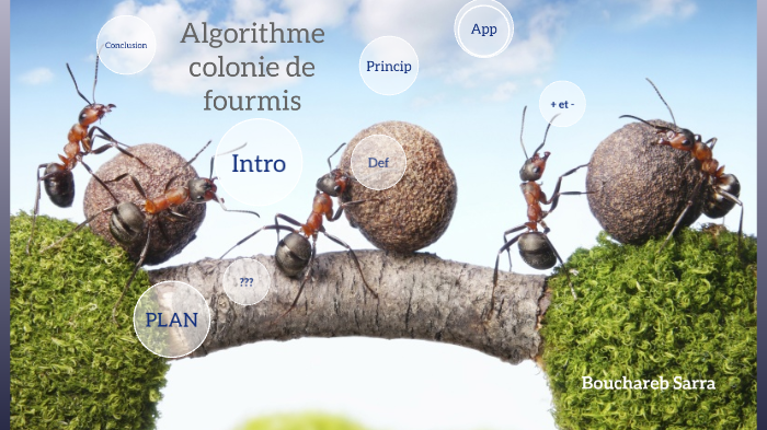 Algorithme colonie de fourmis by Sara Bouchareb on Prezi