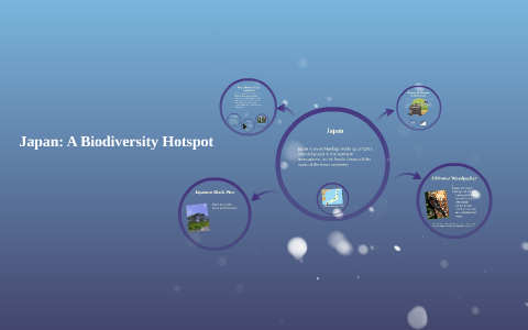Japan as a Biodiversity Hotspot by MaRhonda Long on Prezi