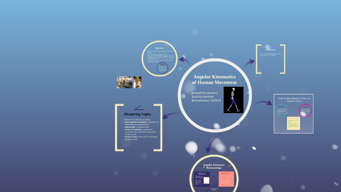 Angular Kinematics of Human Movement by jacqueline luevano on Prezi