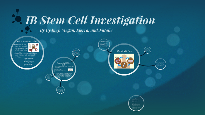 IB Stem Cell Investigation by Cydney Weiland on Prezi