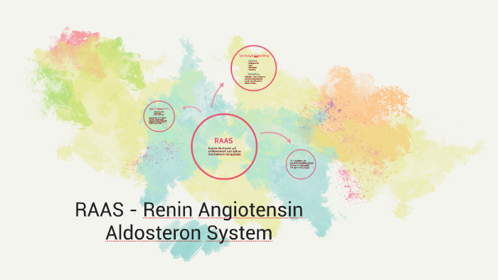 RAAS - Renin Angiotensin Aldosteron Systemet by Frida Persson on Prezi