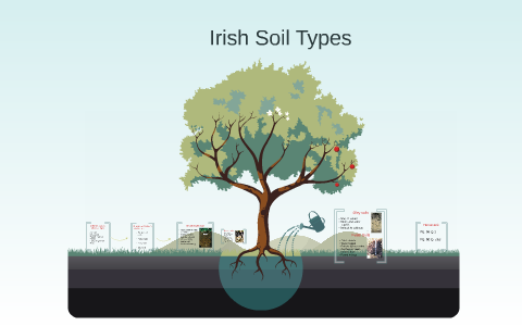Irish Soil Types by Sinead Kearns on Prezi