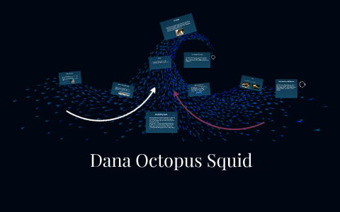Dana Octopus Squid by Michael Ficarrotta on Prezi