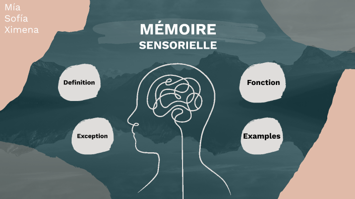 Mémoire Sensorielle by Ximena Castillo on Prezi