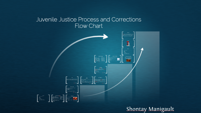 Juvenile Justice Process and Corrections Flow Chart Week 4 Assignment ...