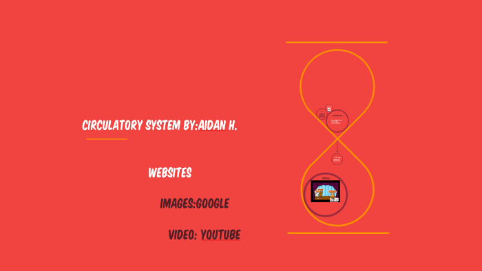 the circulatory system by Aidan Hatcher on Prezi
