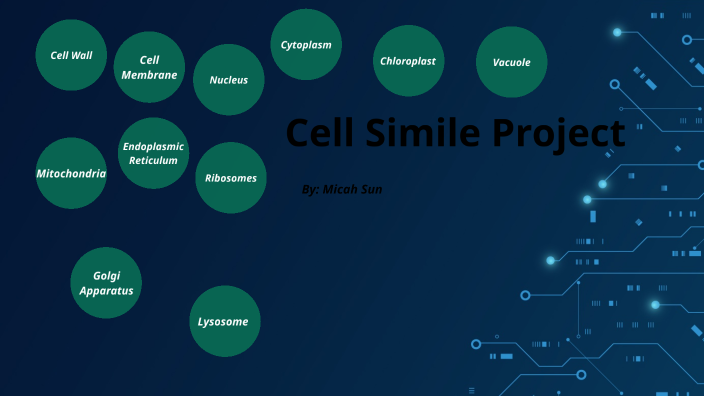 Cell Simile Project by Micah Sun on Prezi