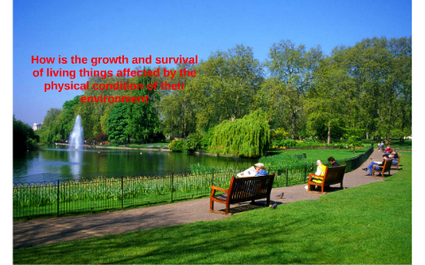 How is the growth and survival of living things affected by the ...