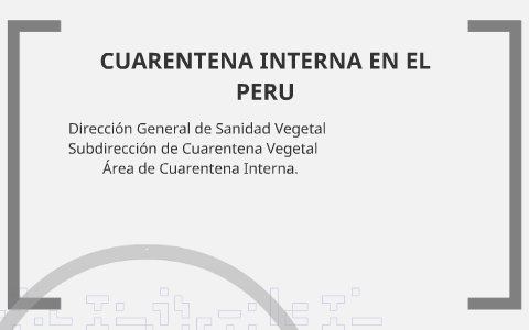CUARENTENA INTERNA EN EL PERU by LUIS FELIPE TUME CHINCHAY on Prezi