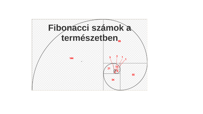 Fibonacci számok a természetben by Balázs Cene on Prezi