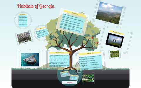 Habitats of Georgia by Madison Boyd on Prezi