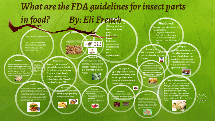 What are the FDA guidelines for insect parts in food by Eli French on Prezi
