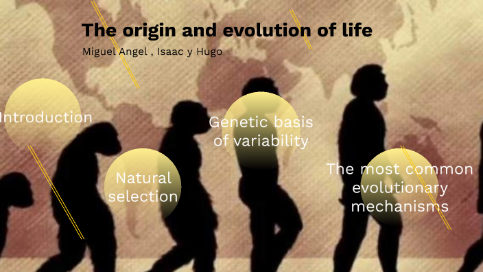 the origin and evolution of life by miguel fernández on Prezi