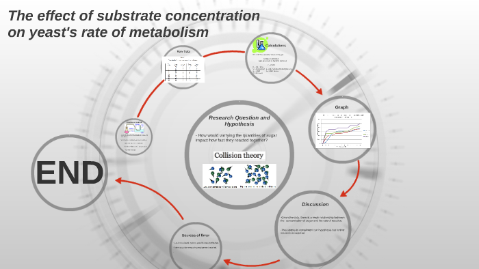 The Effect of Subsrate Concentaion on Yeast's rate of Metabo by None of ...
