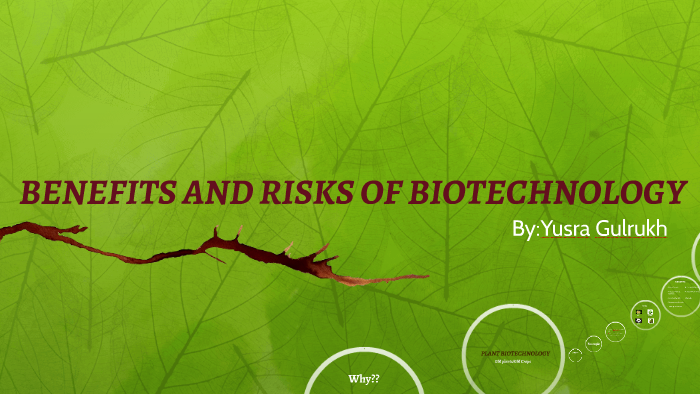 BENEFITS AND RISKS OF BIOTECHNOLOGY by Yusra Gulrukh on Prezi