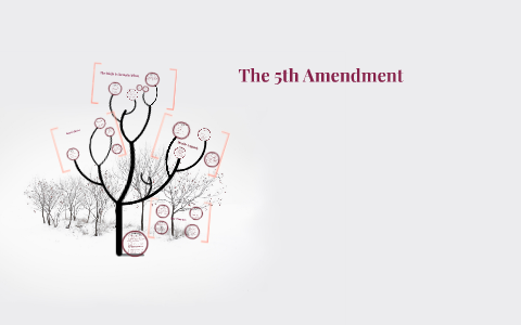 5th Amendment by Marissa Kuik on Prezi