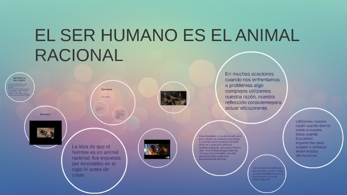 EL SER HUMANO ES EL ANIMAL RACIONAL by Paula Cruz on Prezi