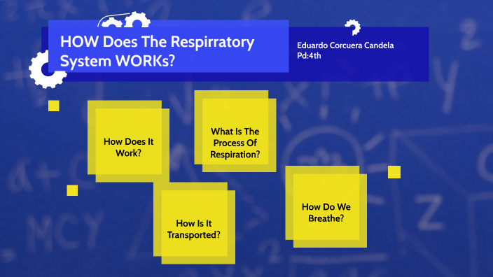How Does The Lungs Work by Eduardo Corcuera on Prezi