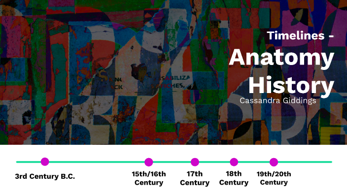 Timelines - Anatomy History by Cassie Giddings on Prezi