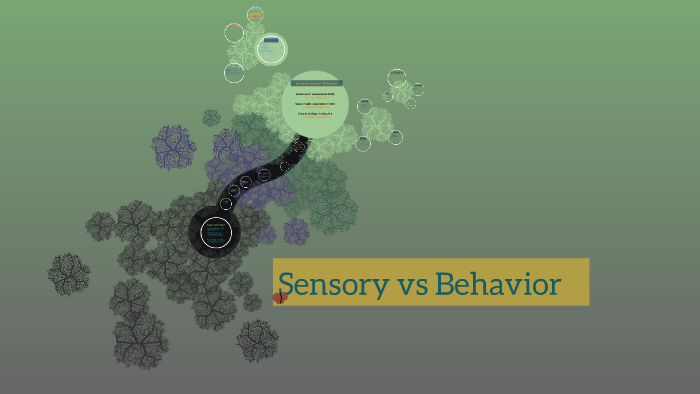 Sensory vs Behavior by Jonny Haskell on Prezi