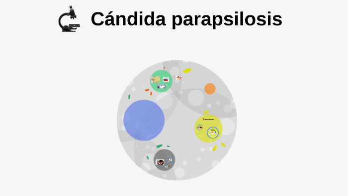 Cándida parapsilosis by on Prezi