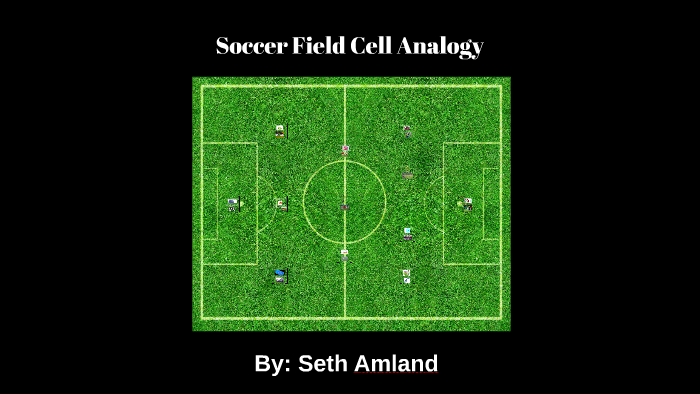 Soccer Field Cell Analogy by Seth A on Prezi