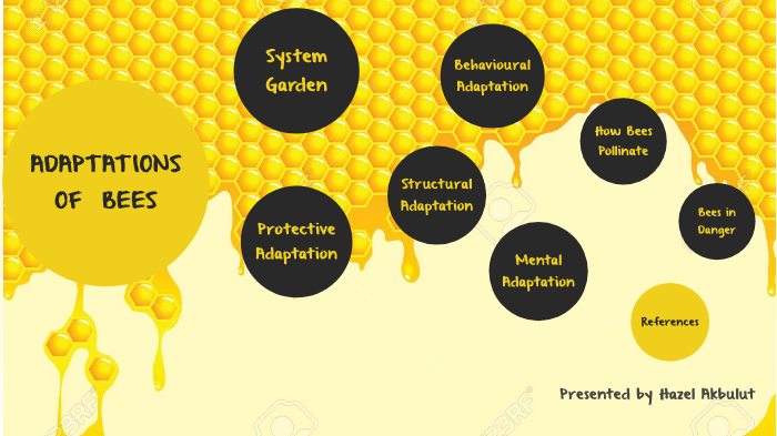 Adaptation of bees by Hazel Akbulut on Prezi