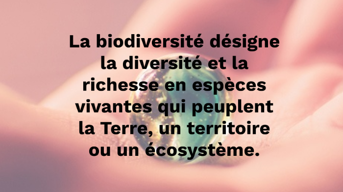 Diapo SVT by Margaux Dubois on Prezi