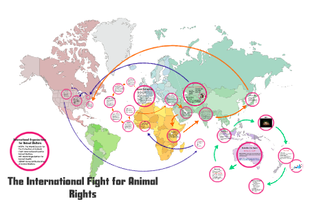 Animal Cruelty Around the World by Stephanie Cuaderno on Prezi