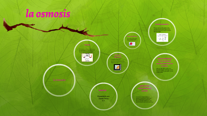 la osmosis by daniel perea on Prezi