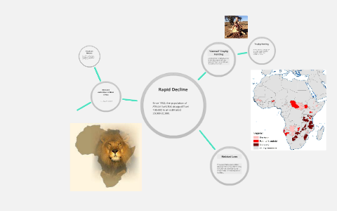 Decline in population of african lions by Heather Bodine on Prezi