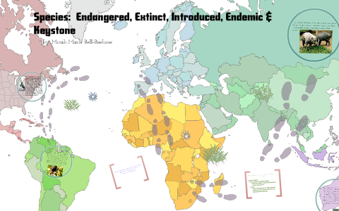 Species: Endangered, Extinct, Introduced, Endemic & Keystone by Micah Bell-Boehme on Prezi